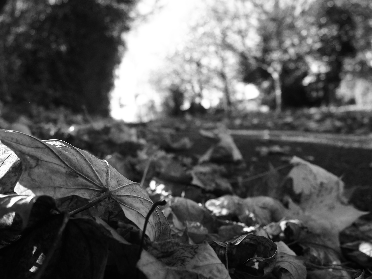 How it began – John Weed Photos